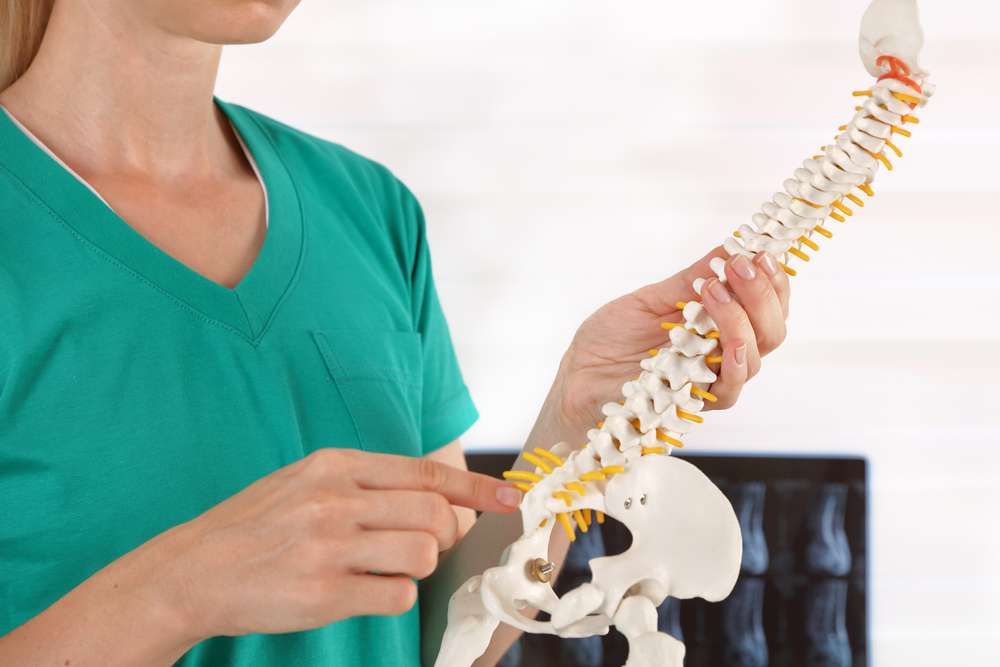 Penyebab Tulang Ekor Sakit - Perumperindo.co.id